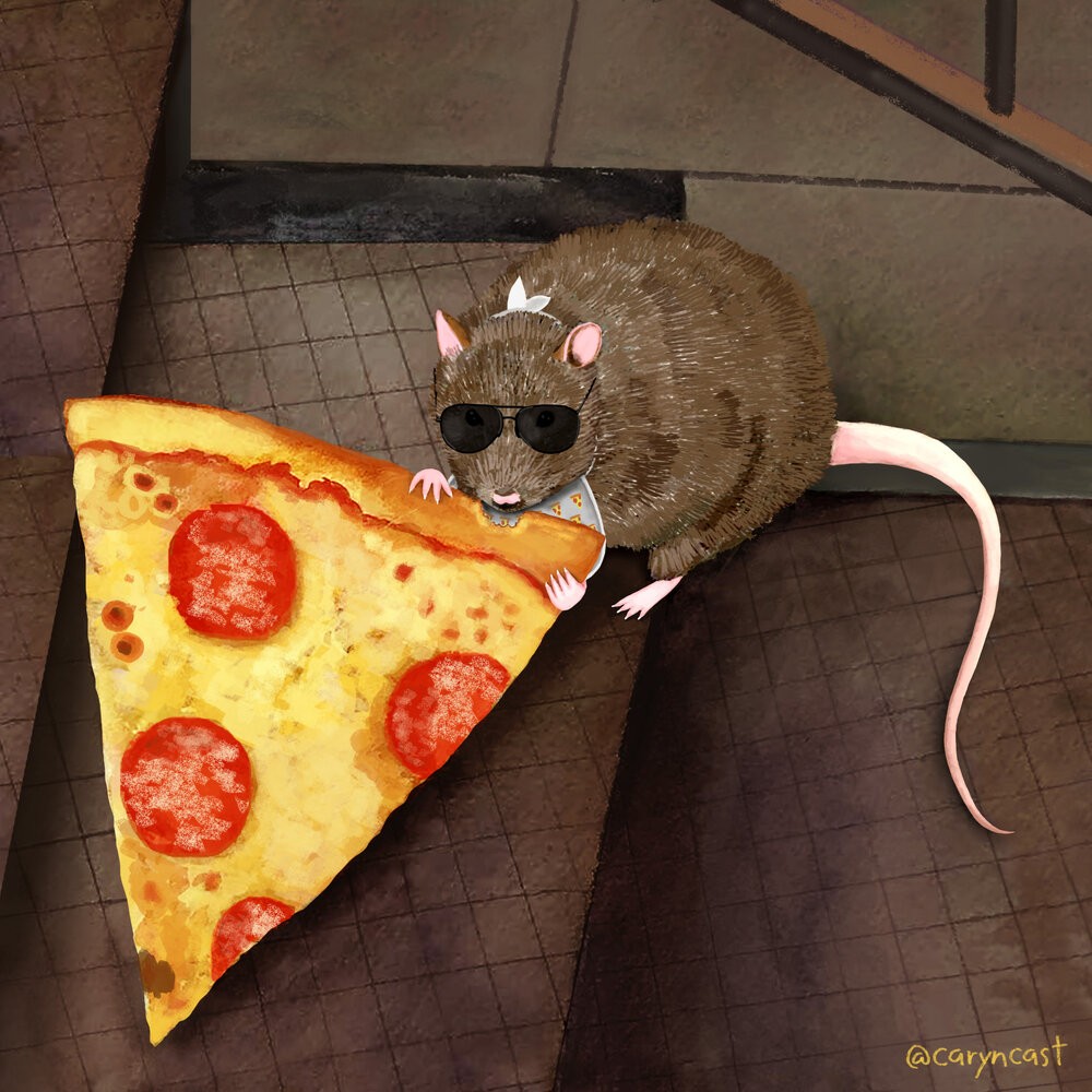 My Fellow Rats - Pixilart