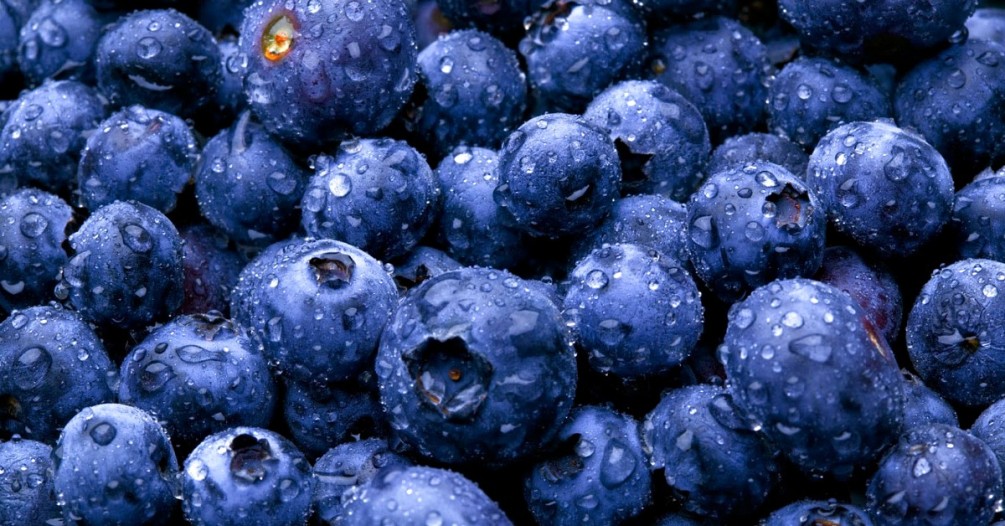 blue berrys - Pixilart