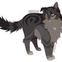 shadowsight's Profile - Pixilart