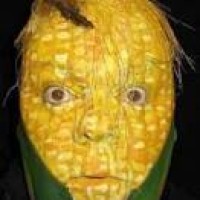 THE-CORN-MAN's Profile - Pixilart
