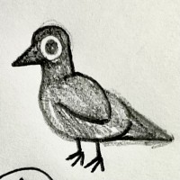 Corvid-comics's Photos/Digital Art - Pixilart