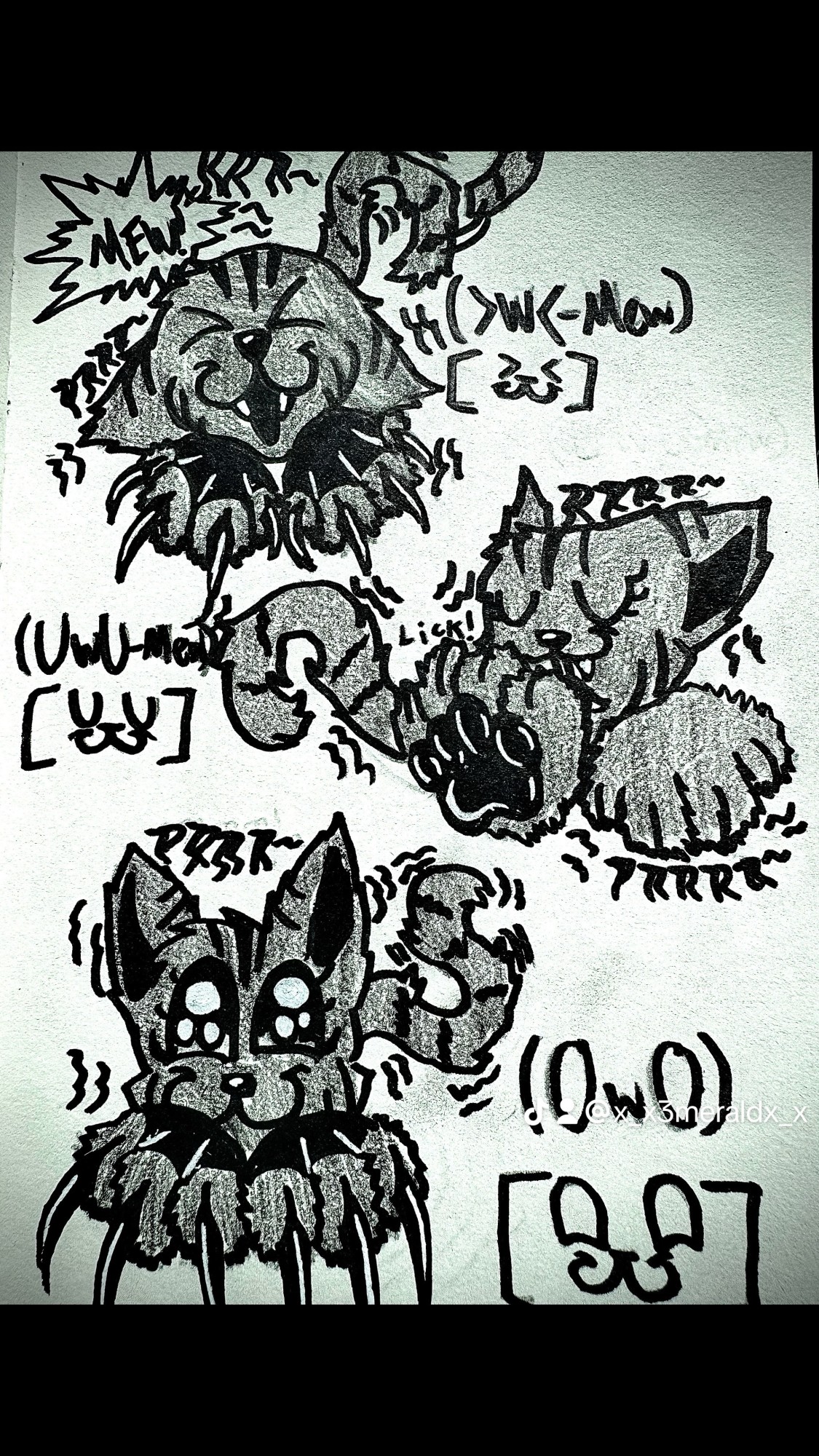 Pixilart - Different Types Of Mews! uploaded by ClawedXEmerald