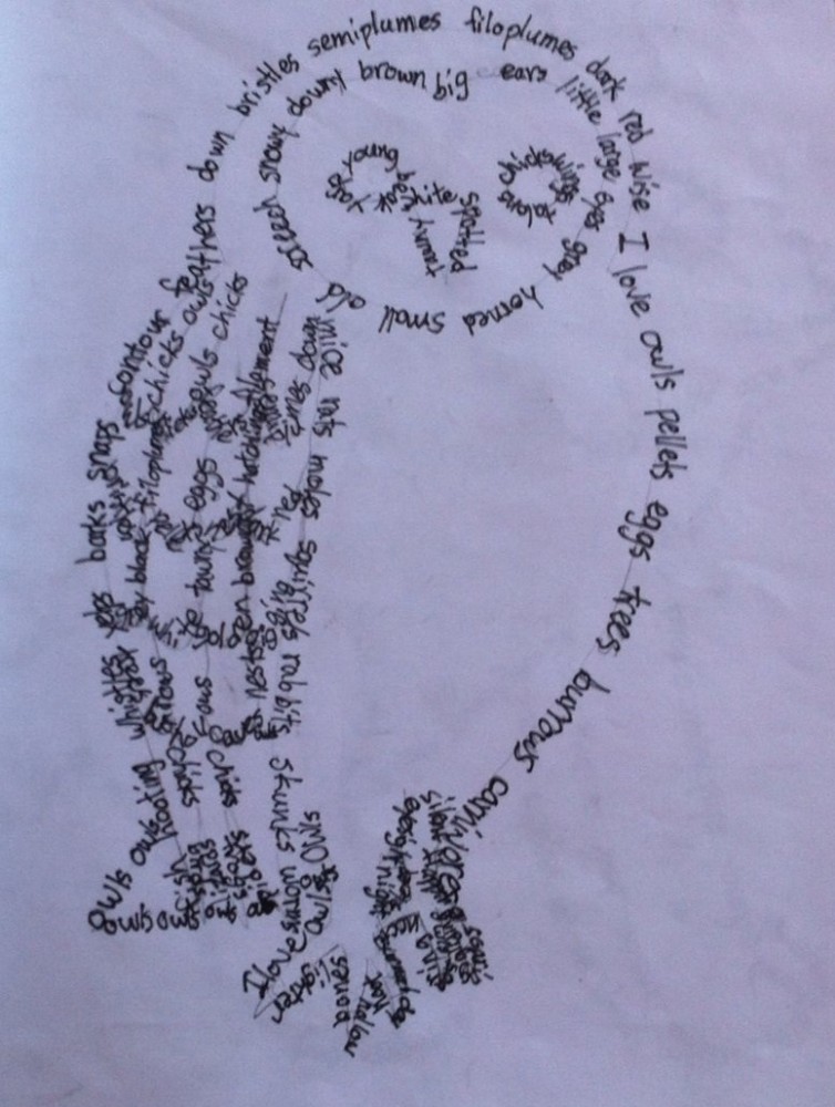 Pixilart - Owl concrete visual poem thing uploaded by Taffeite