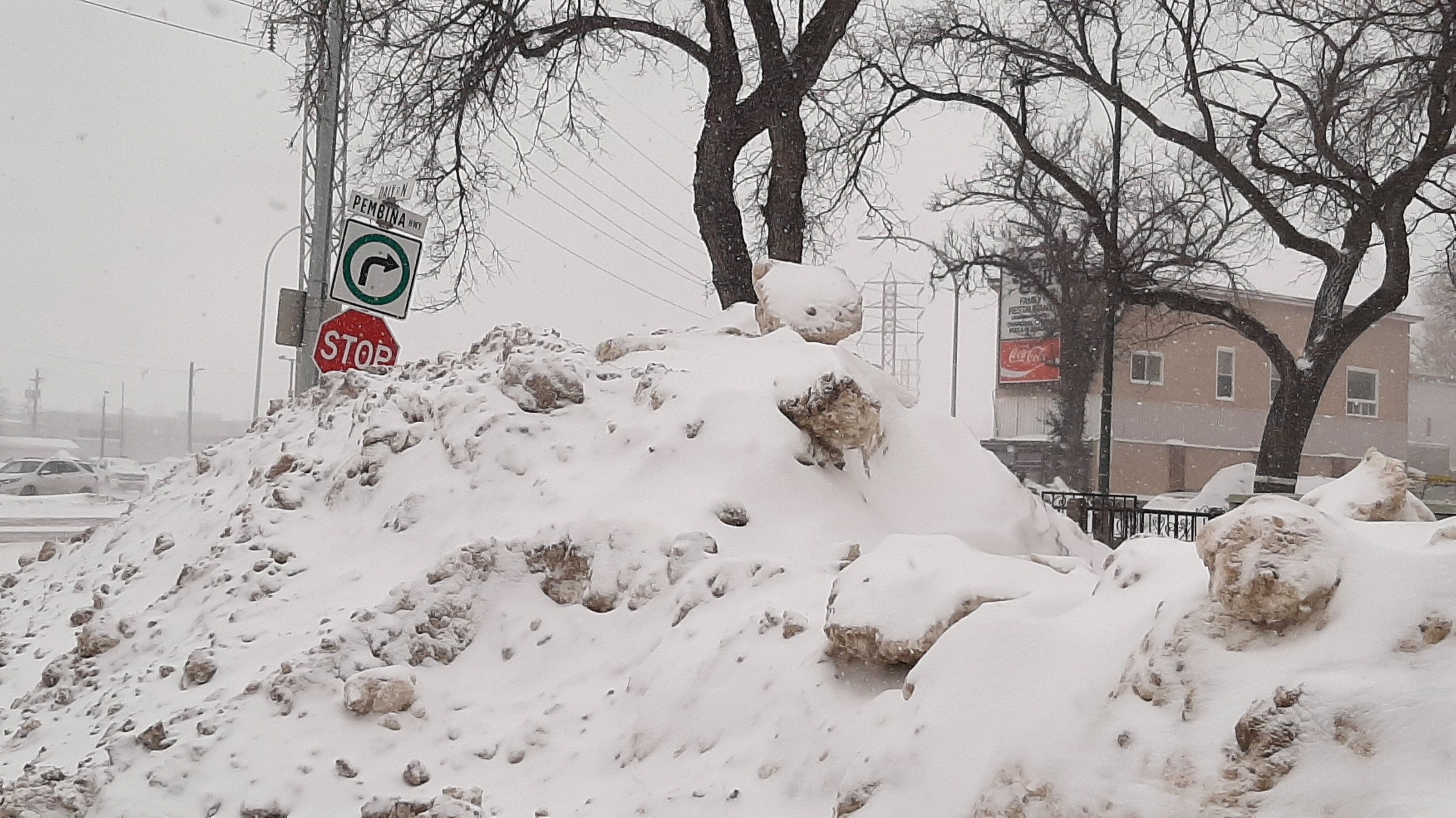 Pixilart - So much snow uploaded by Biology-nerd