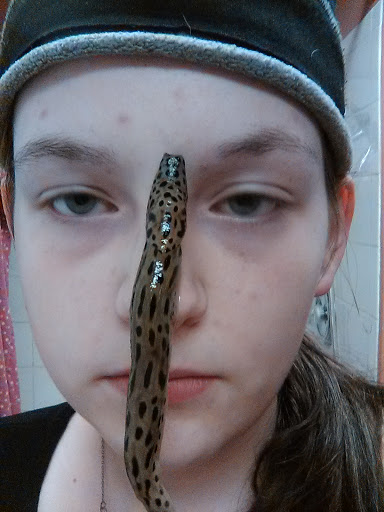 Pixilart - I Put A Slug On My Nose. uploaded by CrossoverQueen