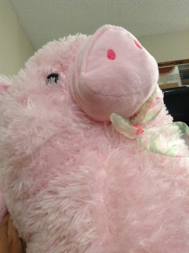 Pixilart - A picture of one of my stuffed pigs uploaded by tacoturmoil