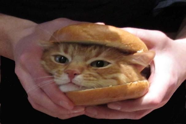 Pixilart - Purrger uploaded by CreeperCat0407