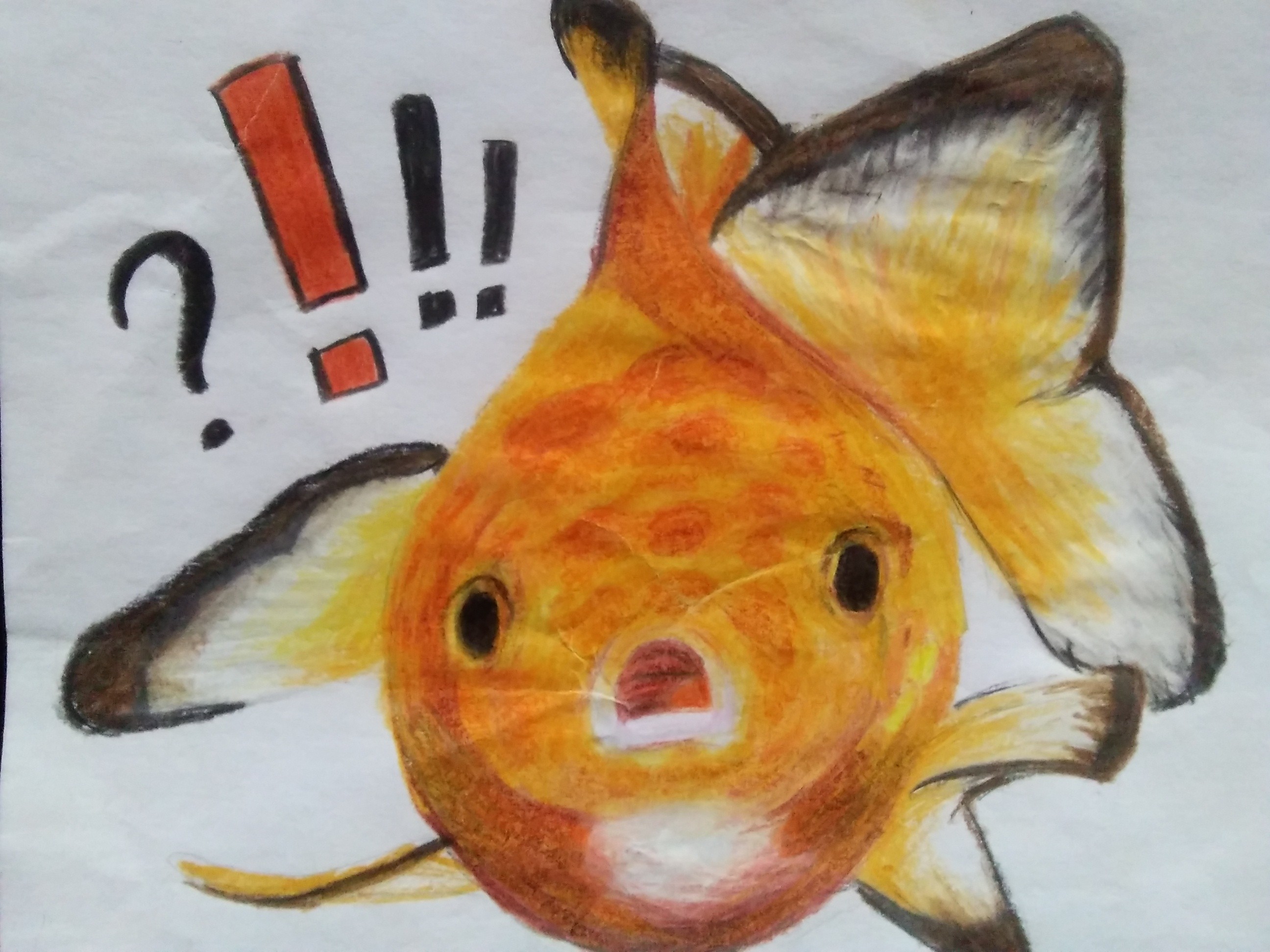 Drawings Irl by GoogleUser - Pixilart